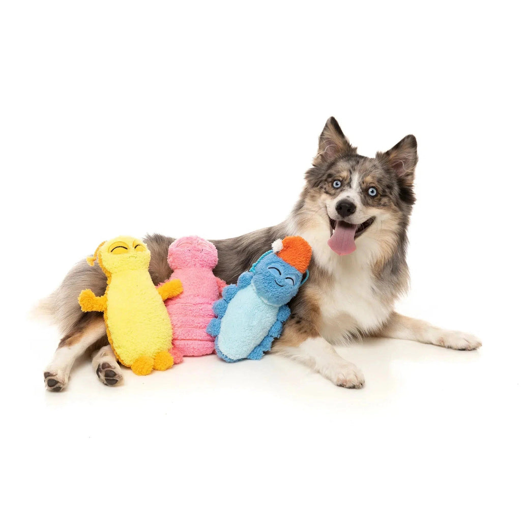 FuzzYard | Belly The Bed Bug - Plush Dog Toy – Love My Hound
