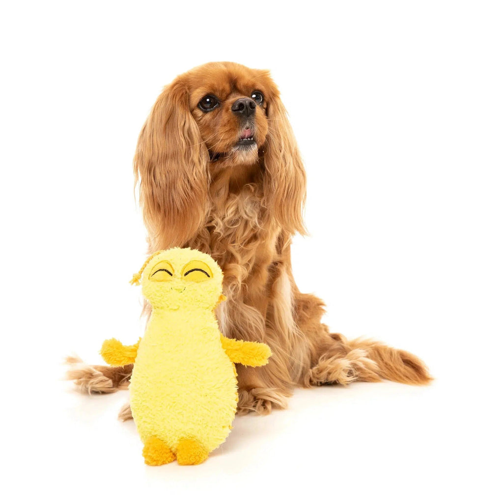 FuzzYard | Belly The Bed Bug - Plush Dog Toy – Love My Hound