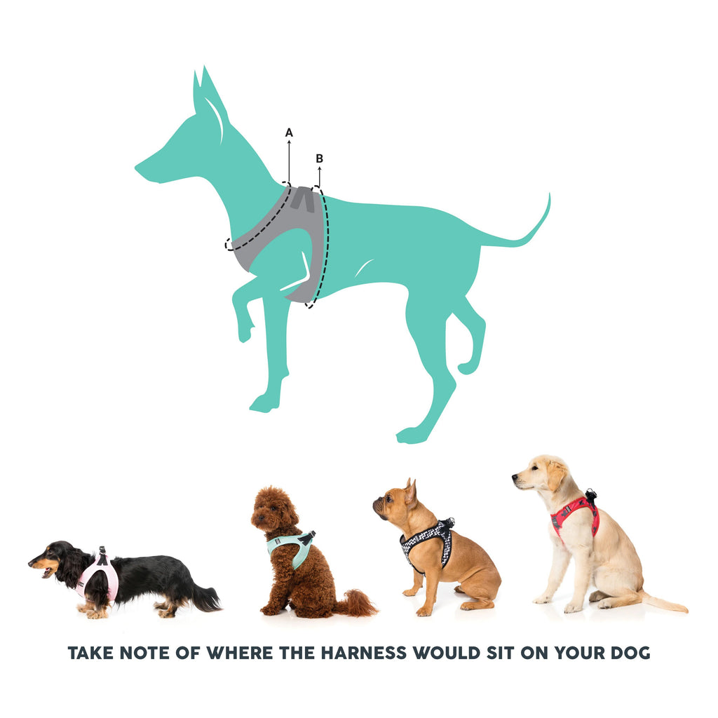 FuzzYard | Fuzz Bear - Step In Harness – Love My Hound